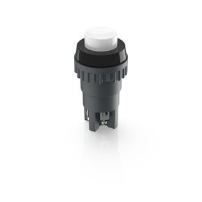 RAFI eCatalog | Key switches - Misc - Pushbuttons - Pushbutton, 18.2 mm