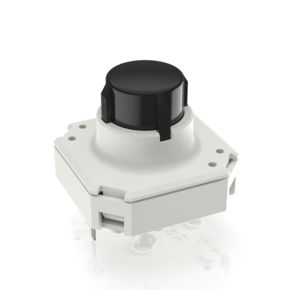 RAFI eCatalog | Tactile switches - RF - RF 15 - RF 15 R, silver